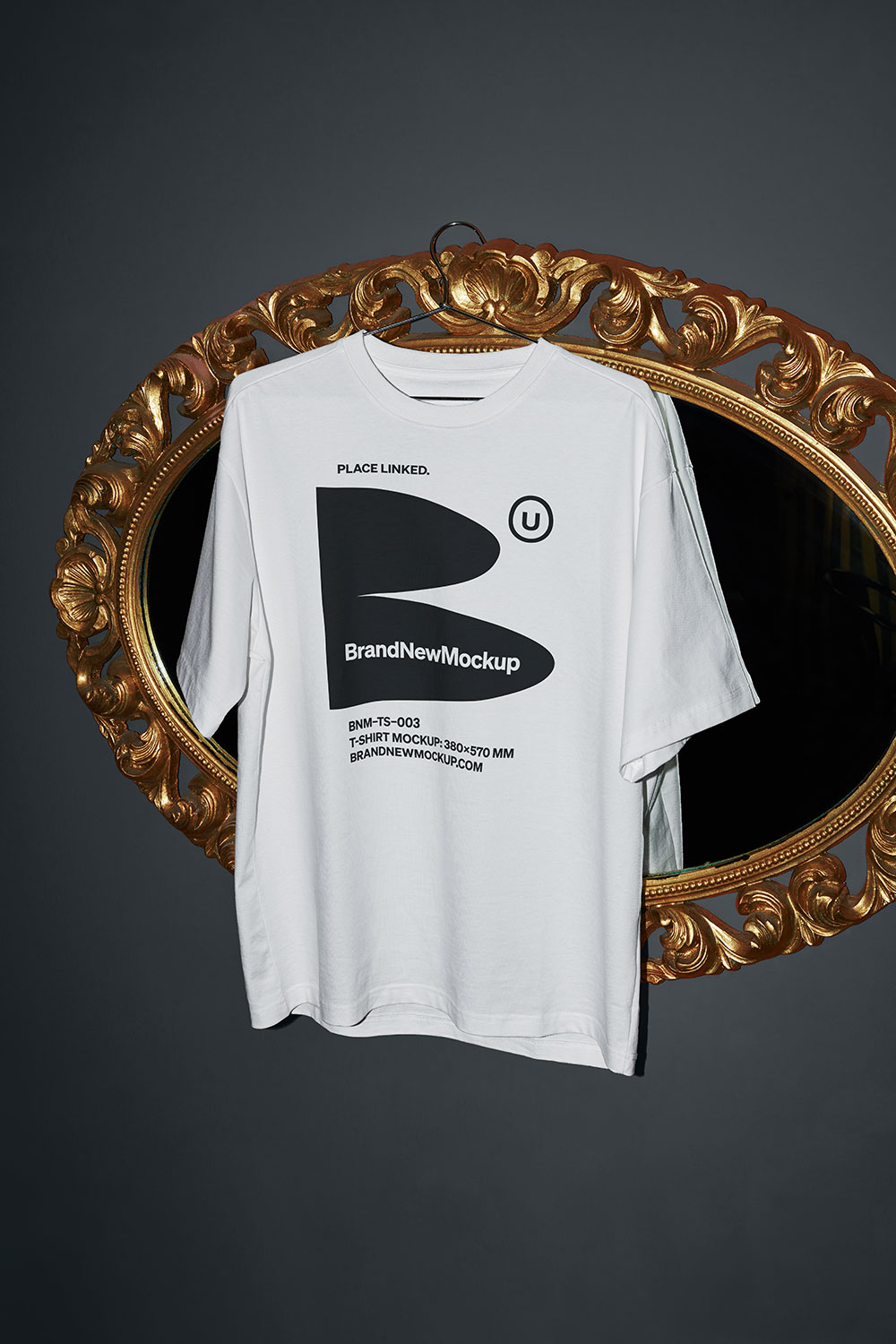 BNM-TS-003 T-shirt Mockup with Extras